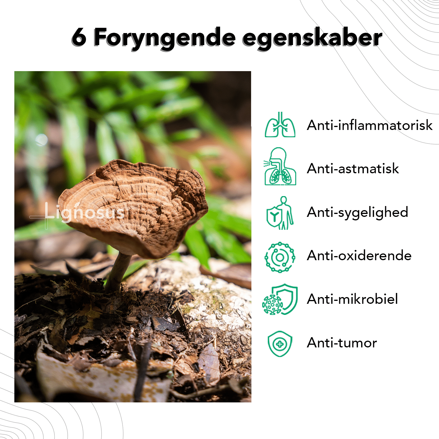 Bedste naturlige respiratoriske sundhedstilskud - Lignosus